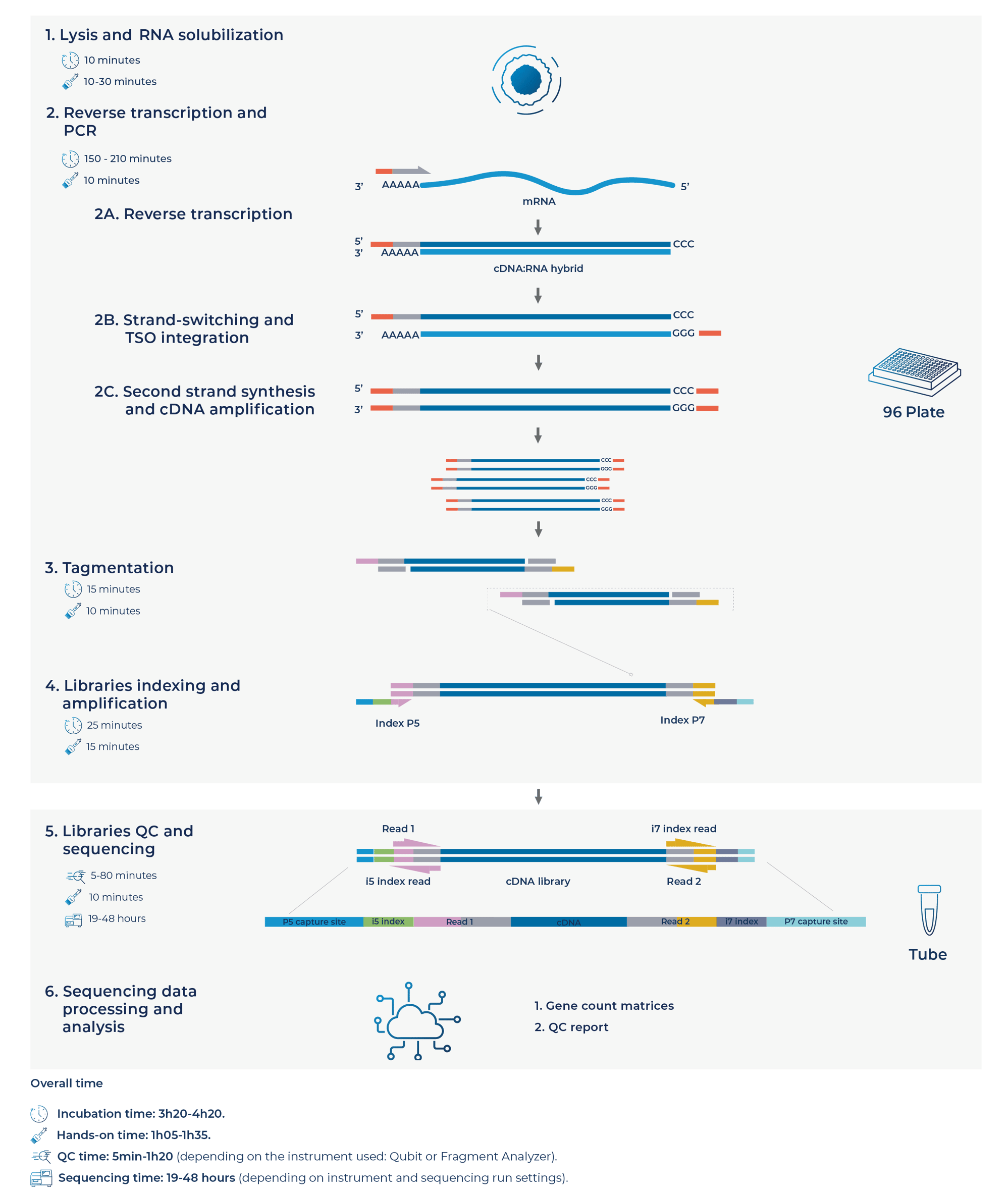 MERCURIUS™ Low-input FLASH-Seq-kits | Ultra-sensitive and full-length library preparation kits ...